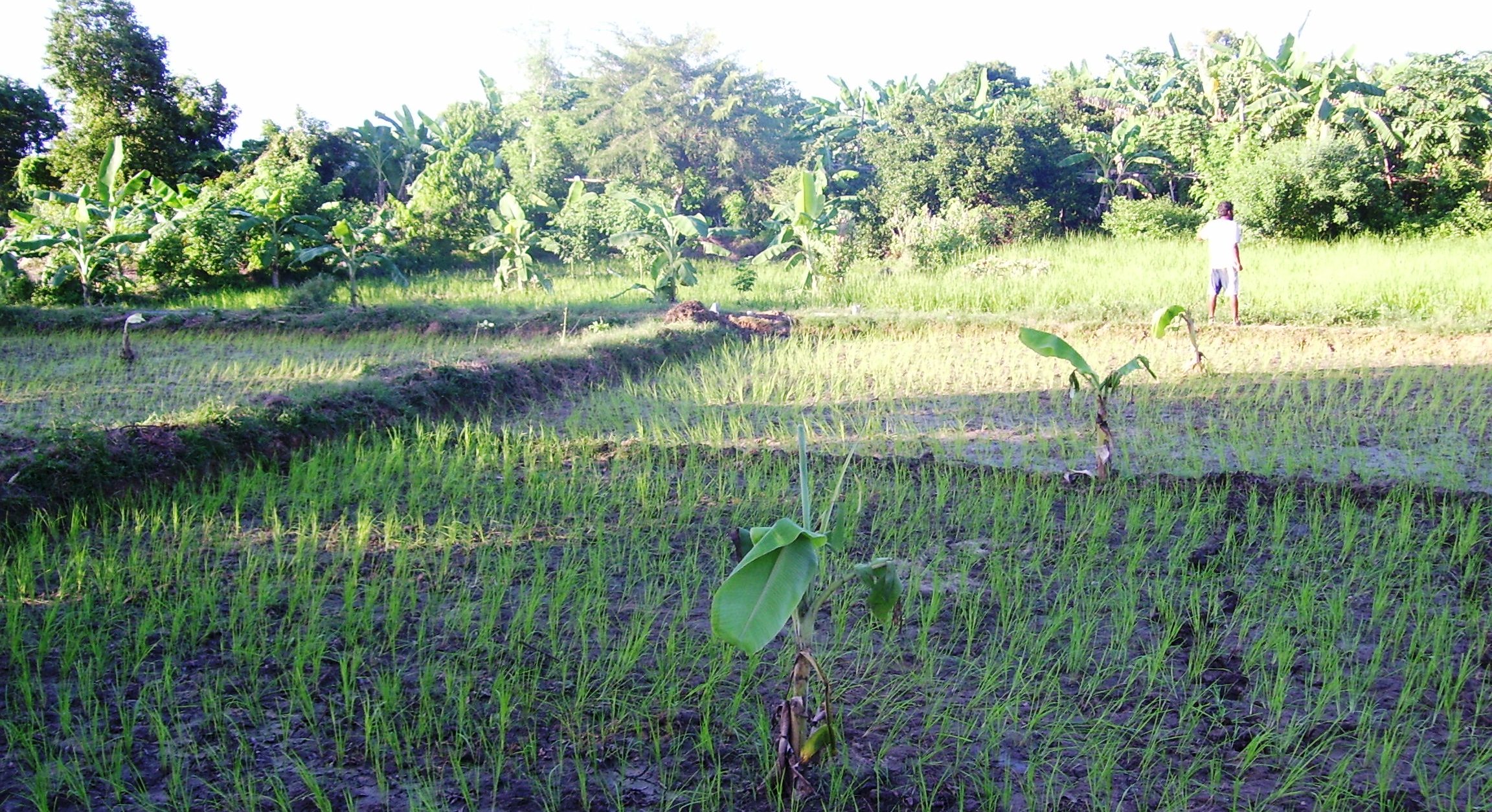 Voyagez autrement sans vous ruiner : alternatives et premiers pas - L ...